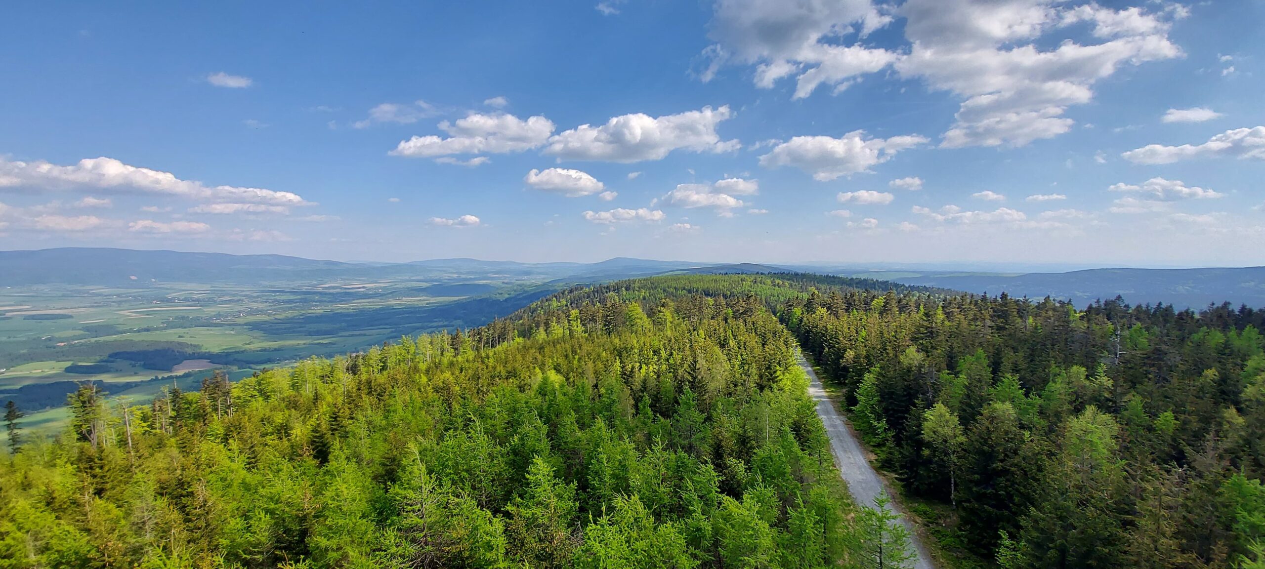 Jagodna | Góry Bystrzyckie | Trasy górskie